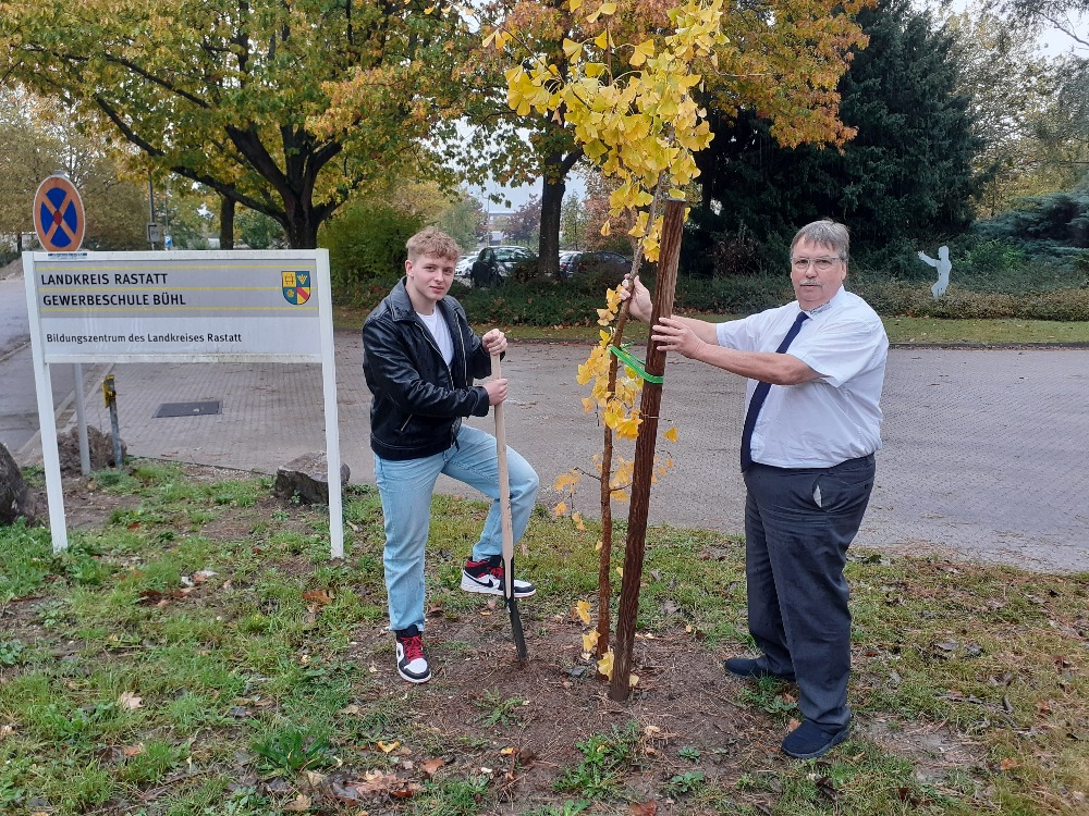 Gewerbeschule Bühl – Unsere Schule